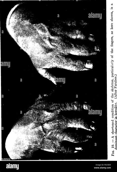 This Book Explores The Role Of Heredity In Evolution And Its Practical