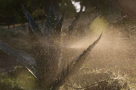 푸른 잔디에 물을주는 자동 잔디 스프링클러 정원 관개 시스템 0명에 대한 스톡 사진 및 기타 이미지 0명 공원 관개 장비 Istock