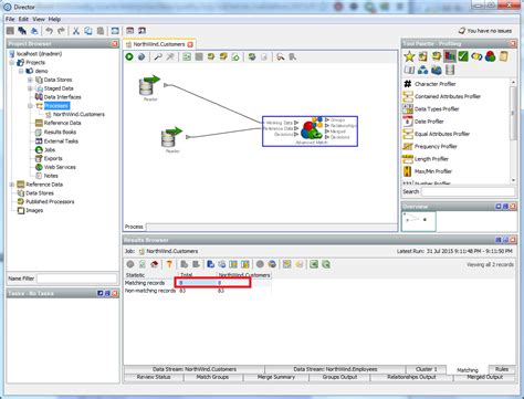 Oracle Enterprise Data Quality Oedq Edq Advanced Matchers