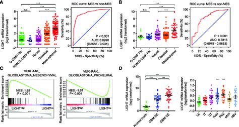 The Heterogeneity Of Light Expression Within And Between Gliomas The Download Scientific