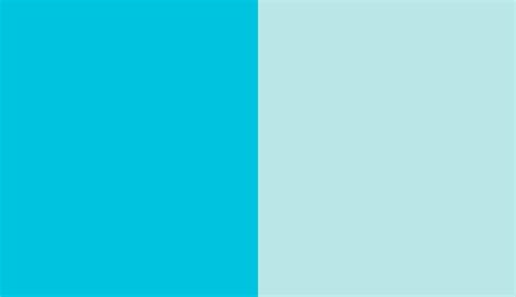Color Pantone 321 C Vs Pantone 320 C Side By Side