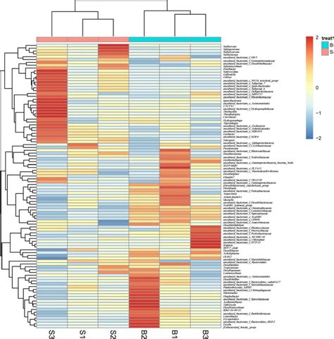 Bacterial Community Heatmap Analysis In Genus Level Download