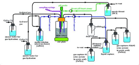 Schematic Design For The Chemostats Download Scientific Diagram