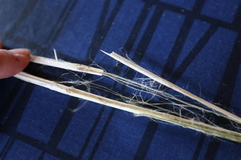 Nettle Fiber Processing Mother Earth News