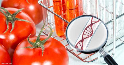 Macro Versus Micro Nutrients