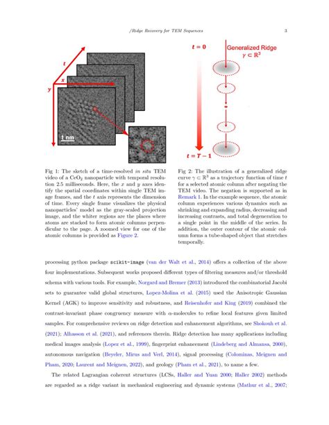 Dynamic Atomic Column Detection In Transmission Electron Microscopy Videos Via Ridge Estimation