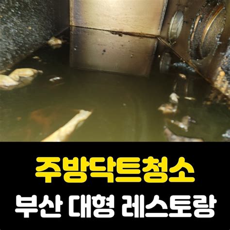 대형 식당 닥트덕트후드청소 저렴한 업체 추천 네이버 블로그