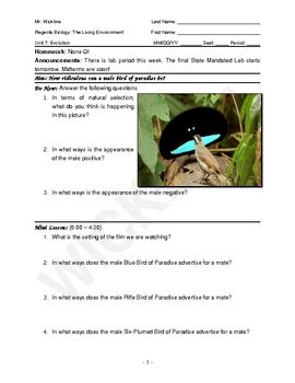 Sexual Selection Planet Earth Jungles By Joshua Wickline TPT