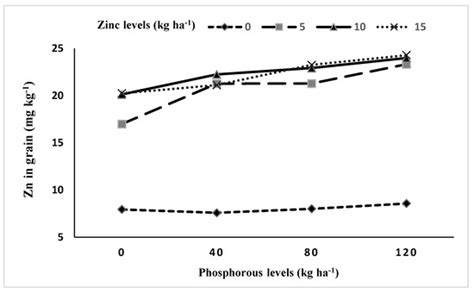 Phosphorus And Zinc Fertilization Improve Zinc Biofortification In Grains And Straw Of Coarse Vs