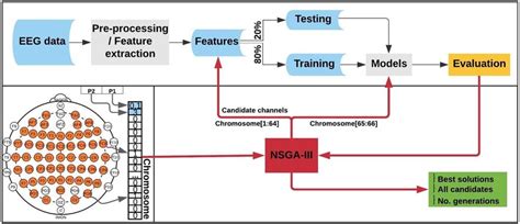 17 Example Of Chromosome Representation And Owchart Of The