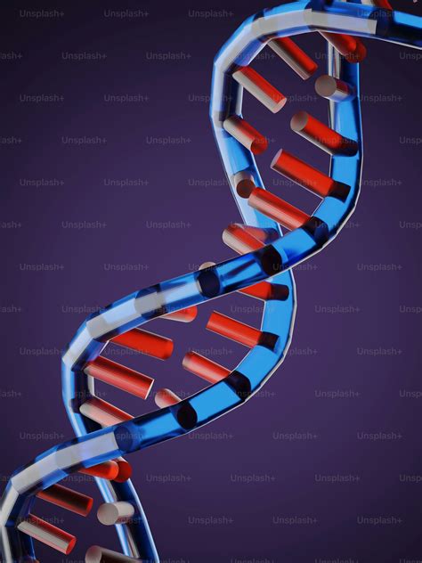 A Digital Image Of A Blue And Yellow Double Stranded Structure Photo