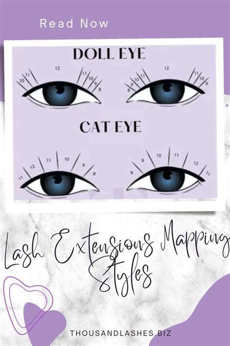 Doll Eye Lash Map Expert Tips For Perfect Lash Extensions