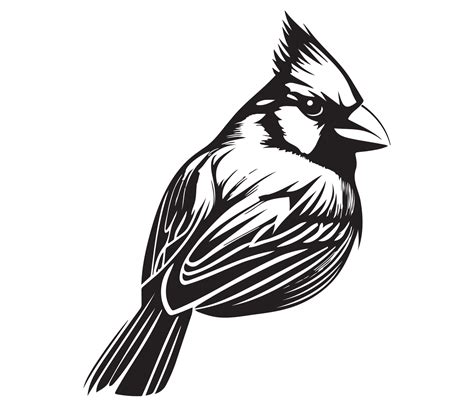 Red Cardinal Silhouette Icon Cardinal Bird Red Cardinal 22664790
