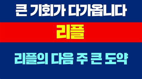 큰 기회가 다가옵니다 리플의 다음 주 큰 도약 Youtube