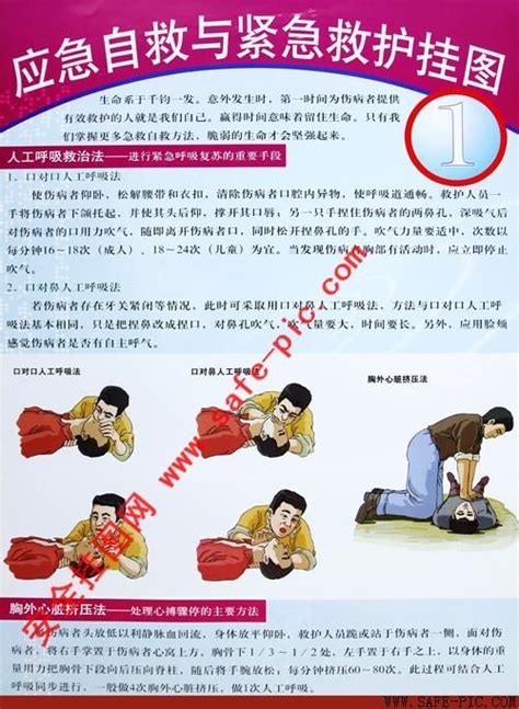 应急自救与紧急救护挂图 An2138 安全挂图网
