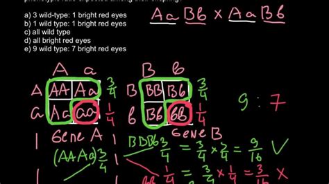 Nikolays Genetics Lessons On Linkedin Nikolays Genetics Lessons