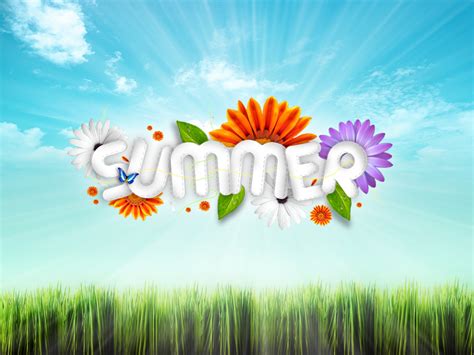 🔥 90 Funny Summer Desktop Wallpapers Wallpapersafari