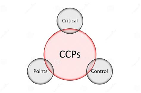 Picture Diagram Of Ccp Mean To Critical Control Point Stock Illustration Illustration Of