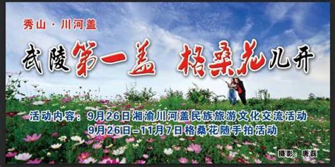 秀山川河蓋桑格花開了 美爆了 每日頭條