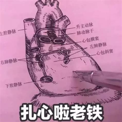 有哪些有趣的医学生专用的沙雕表情包？ 知乎