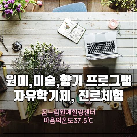 자유학기제진로체험 초중고 직업체험 원예수업명강사기업eap전문센터학부모 교직원연수청년스토리강의역량강화자존감프로그램교육청복지관원예키트 식물키트전국