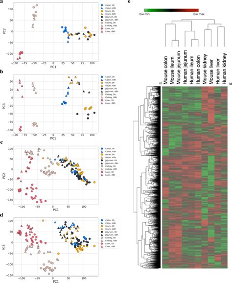 Principal Component Analyses Pca And Hierarchical Clustering Analysis