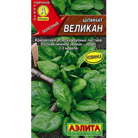 Шпинат Великан Аэлита (98802): купить семена почтой в России | интернет ...