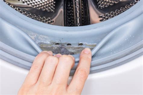 How To Remove Scrud From The Washing Machine