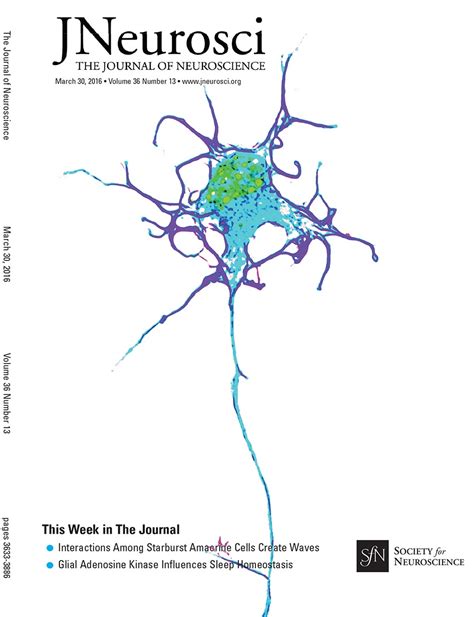 Eliminating Direction Specificity In Visuomotor Learning Journal Of Neuroscience