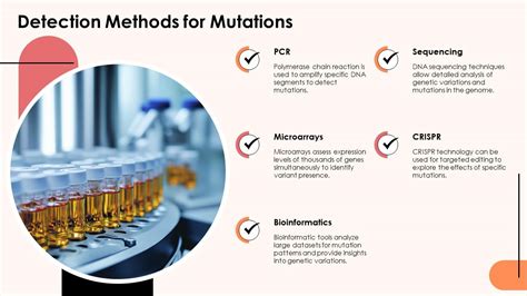 Detection Methods For Mutations Mutation Research Ppt Graphics Acp Ppt