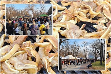 Стара Загора Над 10 хиляди изядоха над тон и половина свински уши за ден