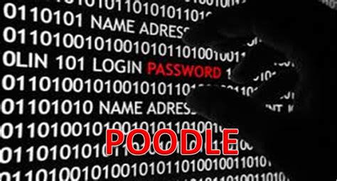 How To Secure From Poodle Vulnerability Cve 2014 3566