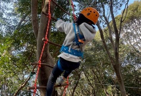 서귀포시 내년도 어린이 숲 체험 ‘상상의 숲본격 운영