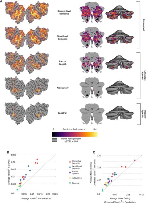 Voxelwise Encoding Models Show That Cerebellar Language Representations