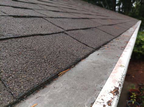 Shingles Touching Gutter Guard Mesh Rroofing