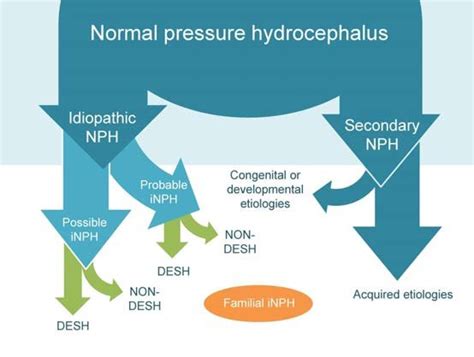 Clinical Classification Of Normal Pressure Hydrocephalus Nph Adapted Download Scientific