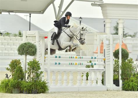 Jad Dana Fleur De Lis Cherie Race To Victory In The 40 000 1 45m Speed CSI3 World