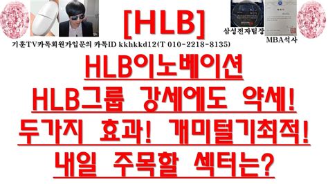 주식투자 Hlbhlb이노베이션hlb그룹 강세에도 약세두가지 효과 개미털기최적내일 주목할 섹터는 Youtube