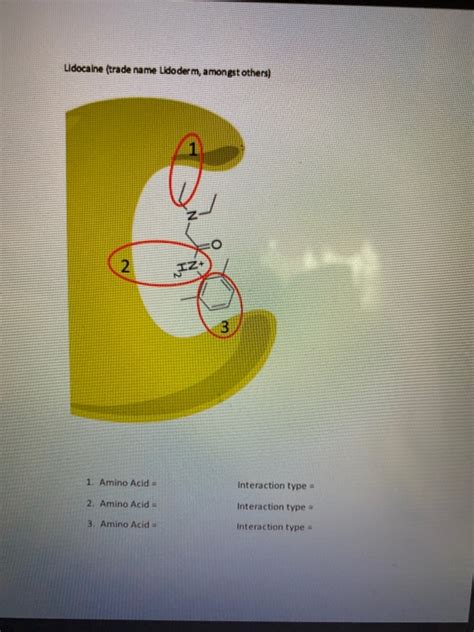 Solved Example Pregabalin Trade Name Lyrica Amongst