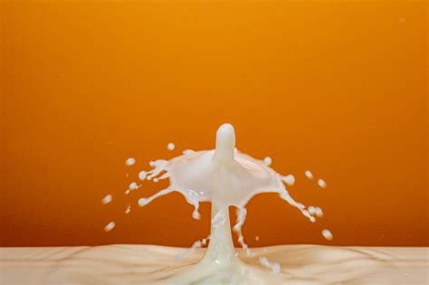 추상적인 모양을 만드는 잔물결이 있는 우유 웅덩이에 튀는 하나의 우유 방울 개념에 대한 스톡 사진 및 기타 이미지 개념 건강한 식생활 기포 Istock