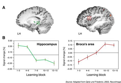 artificial grammar learning