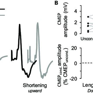 Effect Of A Conditioning TMS Pulse On CMEP Response Paired Pulse Download Scientific Diagram
