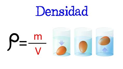 Fundamentos De La Densidad Eduflix