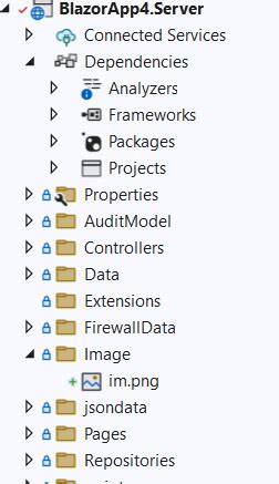 Blazor Webassembly Error 500 30 ASP NET Core App Failed To