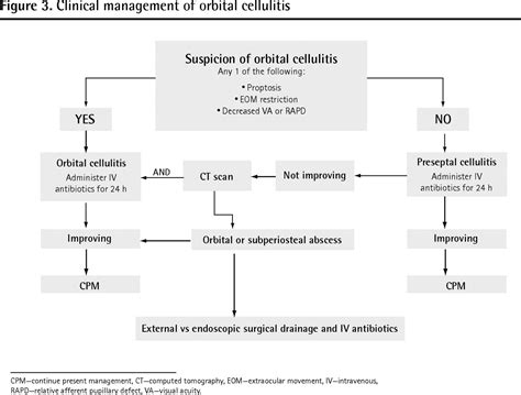 Preseptal Cellulitis Treatment