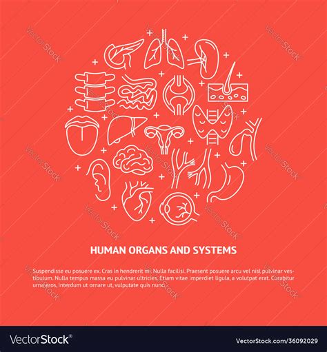 Anatomy Round Banner With Human Organs And Text Vector Image
