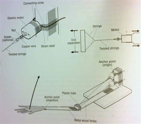 This New String Based Actuator Is Simple And Cheap
