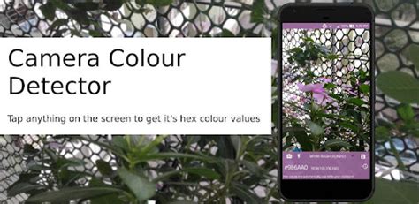 Camera Colour Detector Get Hex RGB Colour Values Android App