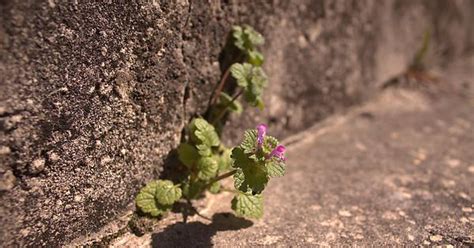 I Was Recently Able To Afford Something Ive Always Wanted A Dslr