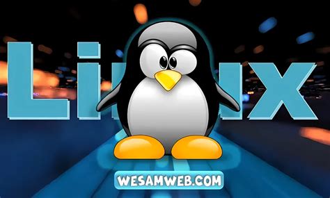 ما هو لينكس وما هو استخدامه؟ التعرف على نظام التشغيل Linux